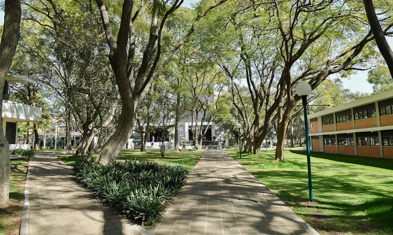 El ITESO es la universidad privada más sustentable de México